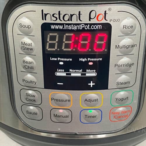 Instant Pot Millet | How to Cook Barnyard Millet in Instant Pot ...